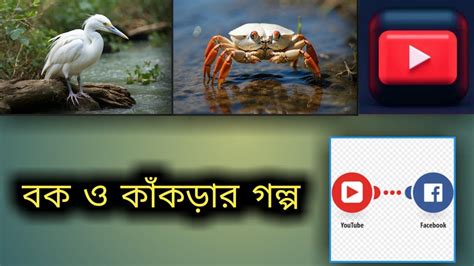 বক ও ককডর গলপ YouTube