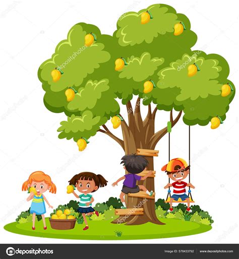 กๆเก บเก ยวมะม วงจากภาพวาดต นไม Stock Vector by brgfx 578433792