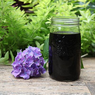 10 Best Homemade Plant Fertilizers A Cultivated Nest