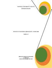 Buma 1000 Tarea 3 1 Docx NATIONAL UNIVERSITY COLLEGE DIVISION ONLINE