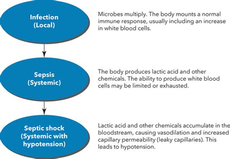 EMT Class Chapter 24 Infectious Disease And Sepsis Flashcards Quizlet
