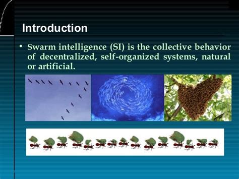 swarm intelligence algorithms