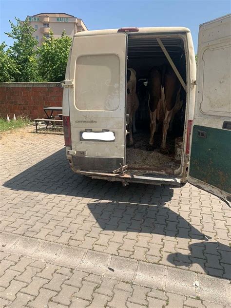 Policia e Kosovës arreston të dyshuarin recedivist për kontrabandim me