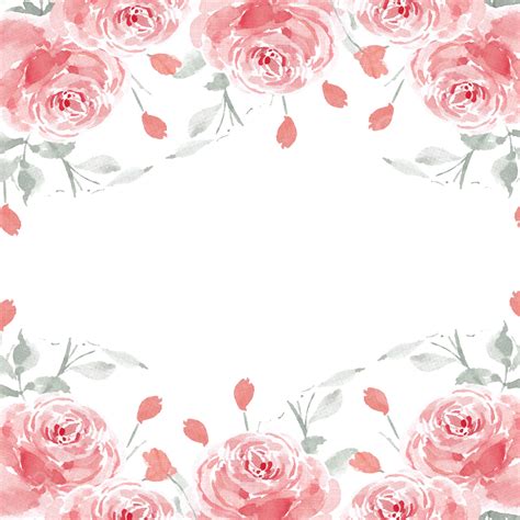 Marco De Flor De Acuarela Rosa Roja PNG Boda Rosa Acuarela PNG Y