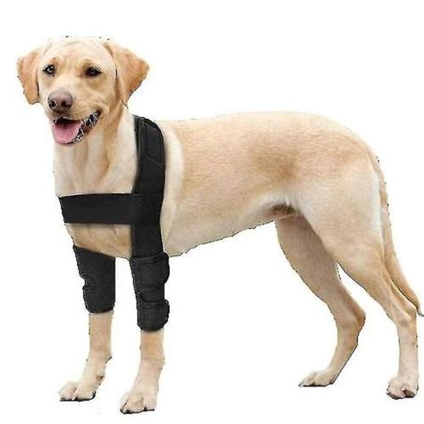 Coussinets De Protection Respirants Pour Coudi Re Pour Chien Pour Le