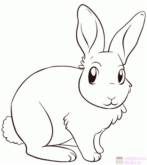 磊 Dibujos de Conejos 250faciles para colorear