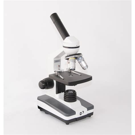 MICROSCOPIO Como Funciona Partes Y Sus Tipos Eduaspirant