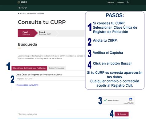 Qué es la CURP y como consultarla Contaduría CCii