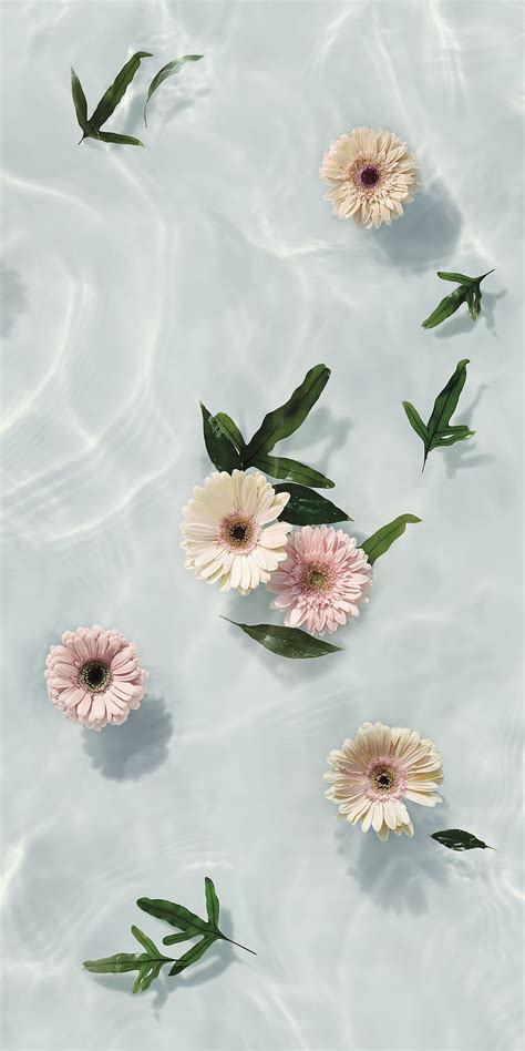 Glazed Porcelain Tiles 23 62x47 24 Glossy Wall Slim Porcelain