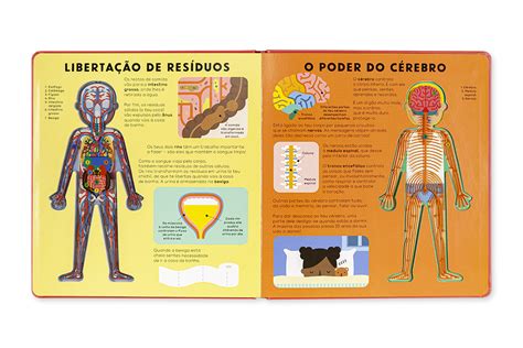 O Livro Do Corpo Humano