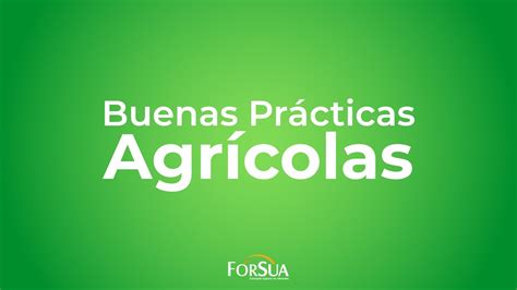 Buenas Practicas Agrícolas YouTube