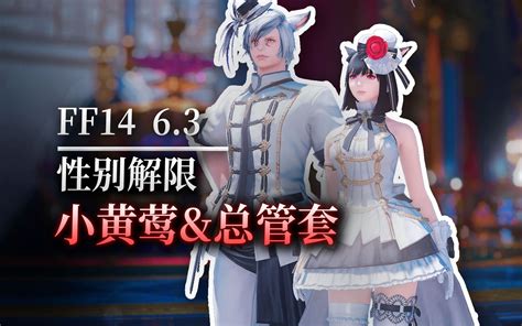 ff146 3性别解限小黄莺 总管套预览商城时装选购指南