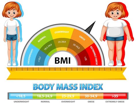 Illustrazione Del Grafico Dell Indice Di Massa Corporea Vettore Gratis