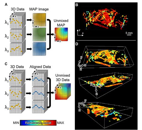 figure 5 from ultrasound guided breath compensation in single element photoacoustic imaging for