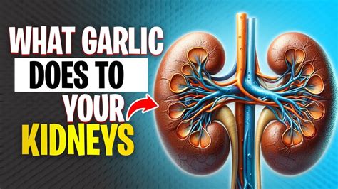 What Happens To Your KIDNEYS When You Start Eating GARLIC Every Day