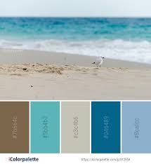 Color Palette Ideas From Sea Ocean Shore Image IColorpalette Ocean