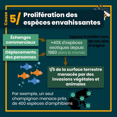 Les Causes Du D Clin De La Biodiversit L Iglou