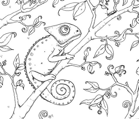Coloriage Cameleon 11 Grand Coloriage Cameleon Pictures Coloriage