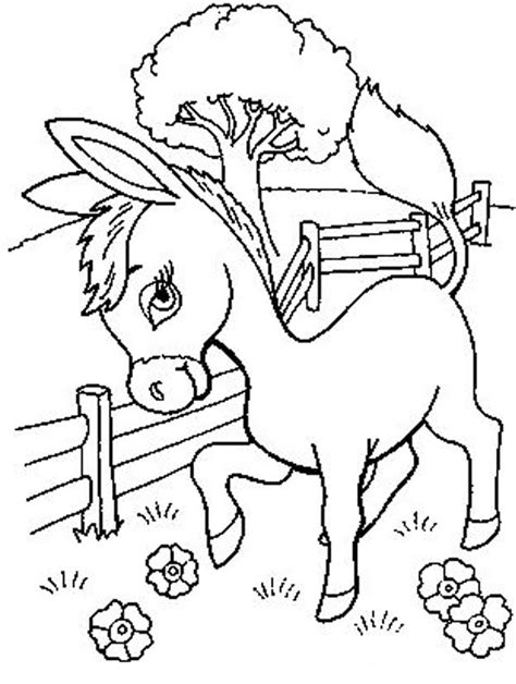 Colorir E Colorir Burro Para Colorir Desenhos De Animais Imprimir