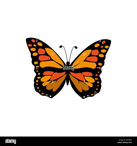 Mariposa Monarca Ilustraci N Vectorial Aislado Sobre Fondo Blanco