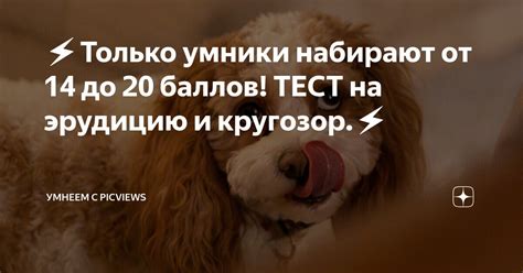 Только умники набирают от 14 до 20 баллов ТЕСТ на эрудицию и кругозор