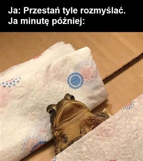 Pin by Karolina Kalina on głupie śmieszne prawdziwe obrazki Funny