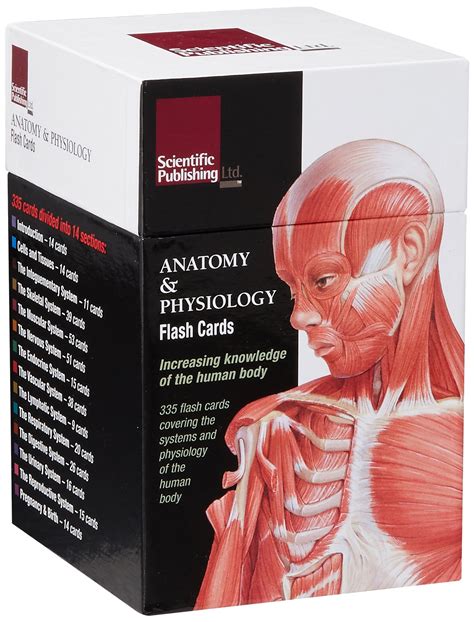 Anatomy And Physiology Flash Cards Free Printable PRINTABLE TEMPLATES