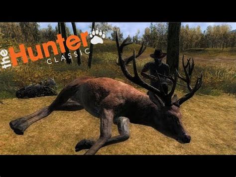 Hunting Red Deer And Fallow On Hirschfelden In The Hunter Classic