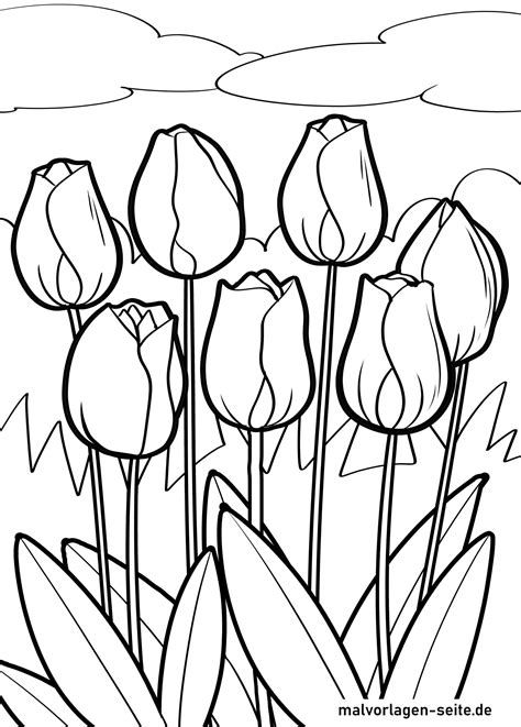 Tolle Ausmalbilder Tulpen Kostenlos Ausmalen
