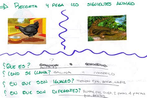 Tabla De Semejanzas Y Diferencias Imagui