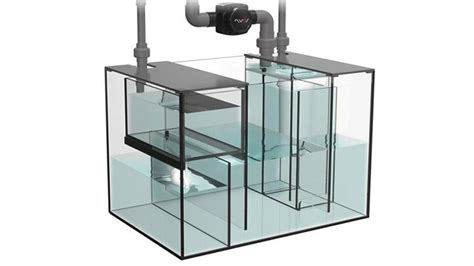Comment choisir le système de décantation pour un aquarium récifal