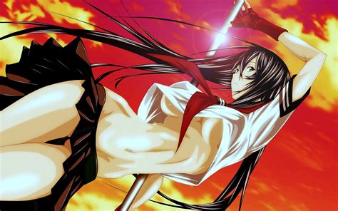 Papel de parede ilustração Anime Meninas anime Ikkitousen Kanu