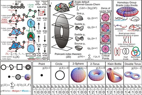 a snapshot of algebraic topology see text top left a simplicial download scientific