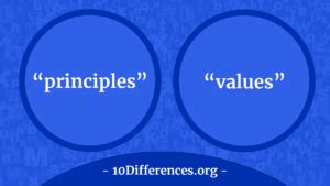 Cuál es la diferencia entre principios y valores Ieb Barceloneta