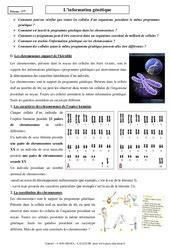 Devoir Maison Svt Eme Chromosomes Home Alqu