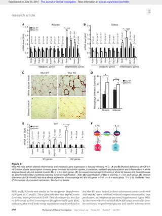Krüppel like factor 4 regulates macrophage polarization PDF