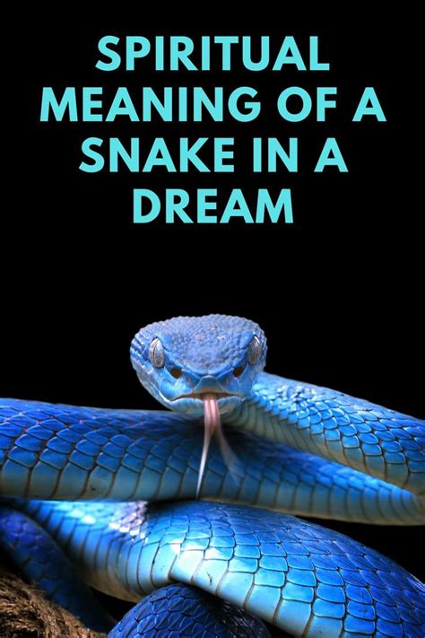 The Biblical Meaning Of Snakes In Dreams Artofit