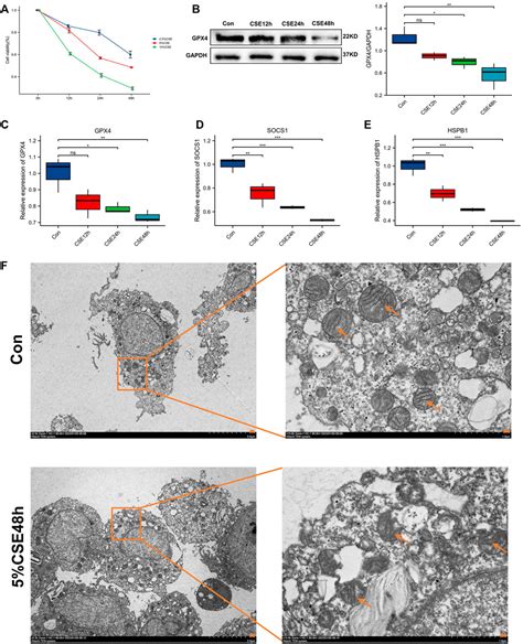 Integrating RNA Seq And ScRNA Seq To Explore The Mechanism Of