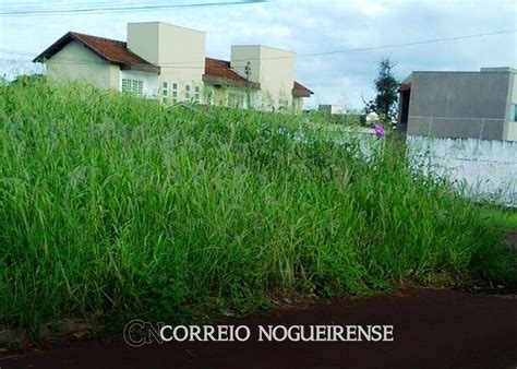Prefeitura notifica 2 215 proprietários para limpeza de terrenos em