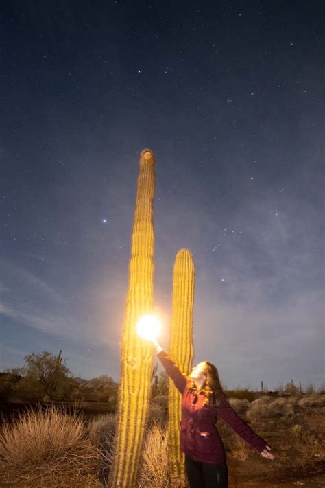 Galeria Pinacate Tours