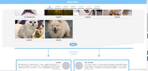 springboot java php node python宠物社区网站【计算机毕设】 宠物社区平台的开发背景和意义 csdn博客