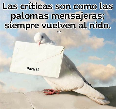 Las críticas son como las palomas mensajeras siempre vuelven al nido
