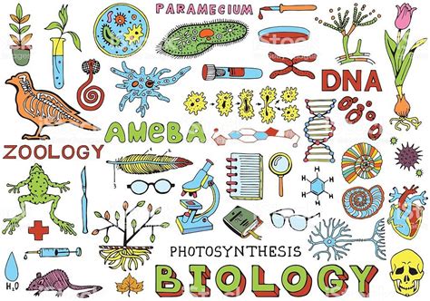 Pegatinas De Biologia Buscar Con Google Portadas De Biologia