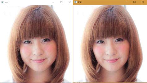 python opencv dlib瘦脸效果 程序员大本营