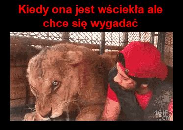 Kiedy ona jest wściekła ale chce się wygadać memy gify i śmieszne