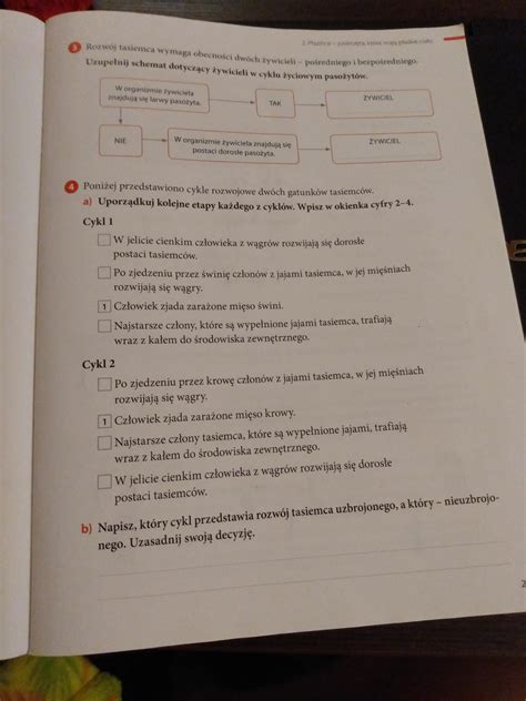 Pomocy Potrzebuj Na Teraz Brainly Pl
