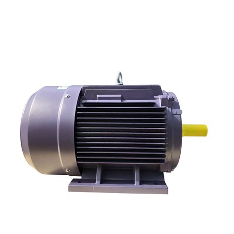 Ye Series Premium High Efficiency Three Phase Induction AC Electric