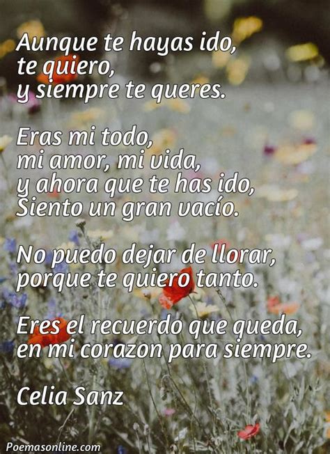 Cinco Poemas Para Ser Querido Fallecido Poemas Online
