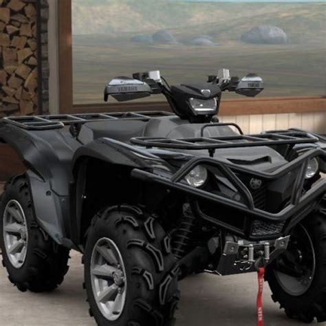 Sold Yamaha New Grizzly Esp Special Th Anniversary Edition