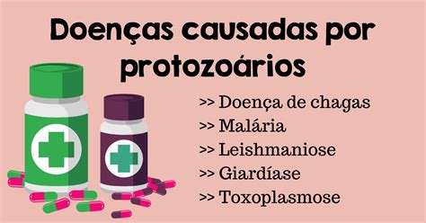 Doen As Causadas Por Protozo Rios Quais S O Sintomas E Preven O